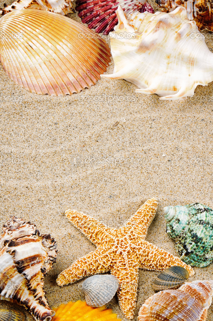 Marine frame with colorful sea shells Stock Photo by ©paulgrecaud 24517169