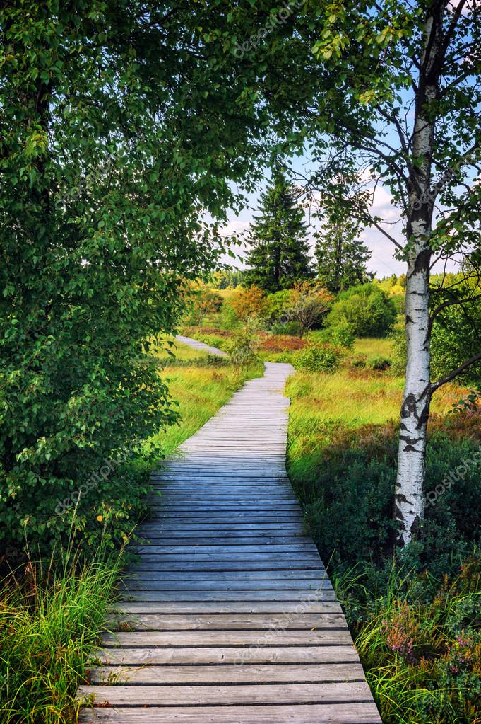 Summer landscape with wooden pathway Stock Photo by ©paulgrecaud 38833947