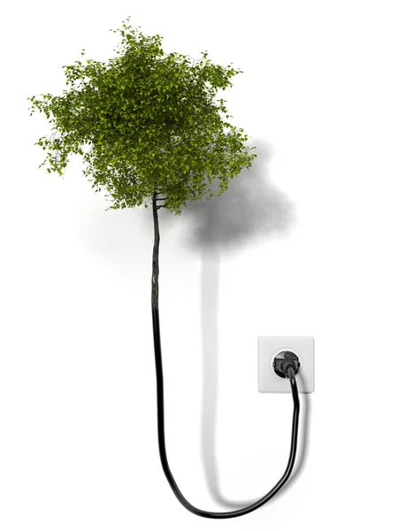 Tree connection Stock Photos, Royalty Free Tree connection Images ...