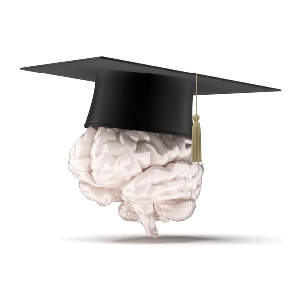 Human brain with arms and legs, Graduation Cap and Diploma — Stock ...
