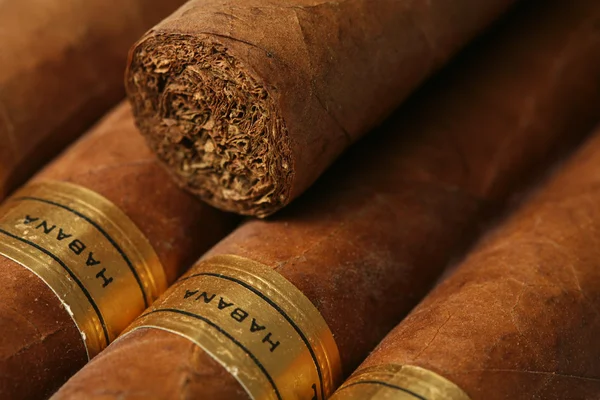 Cigars Stock Photos, Royalty Free Cigars Images | Depositphotos