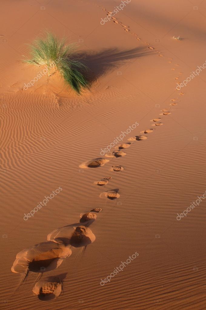 Footsteps in the Sahara Desert Stock Photo by ©wrangel 13629698