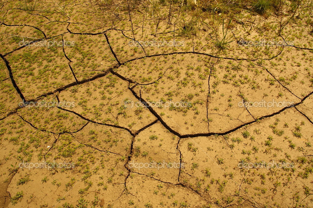 Drought — Stock Photo © eisblumen #13216027