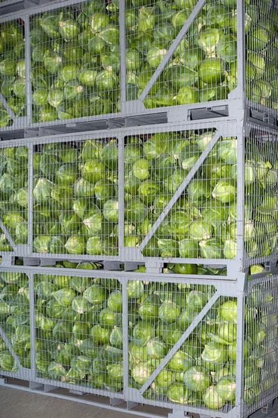 Hurt Stock Photos, Royalty Free Hurt Images | Depositphotos