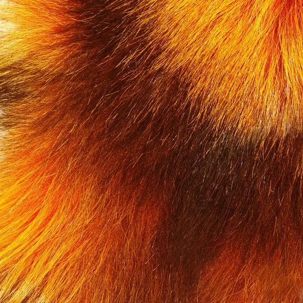 Nice fur fox texture — Stock Photo © Maugli #12820748