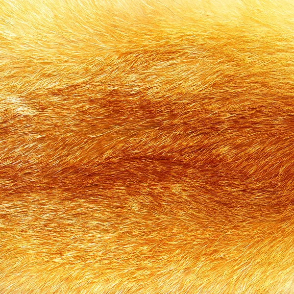 Fox texture Stock Photos, Royalty Free Fox texture Images | Depositphotos