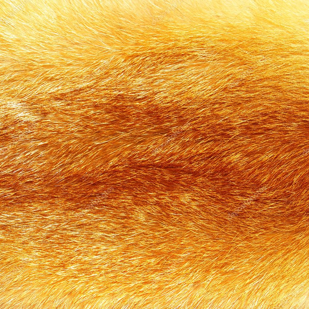 Nice fur fox texture — Stock Photo © Maugli #12820748