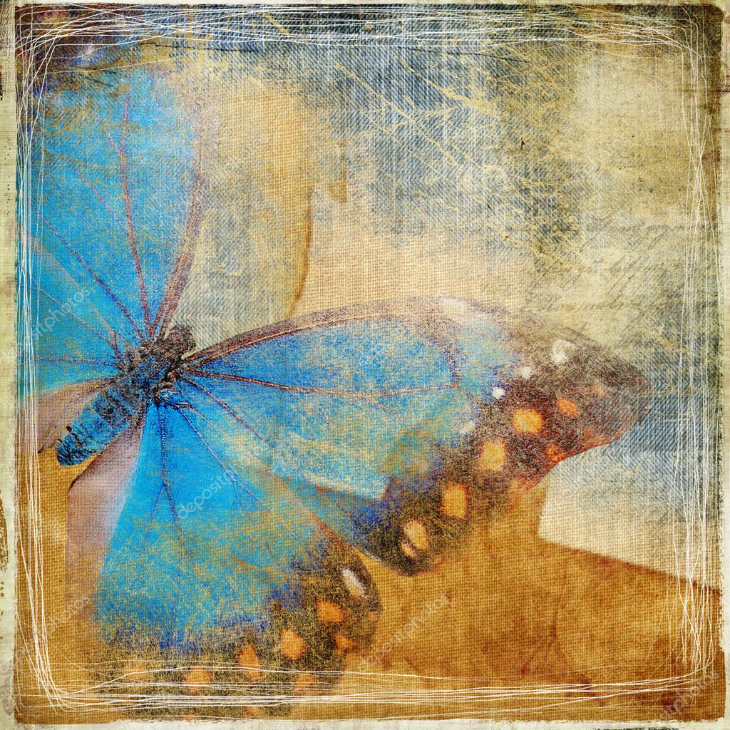 Background in grunge style with butterfly — Stock Photo © Maugli #18310399