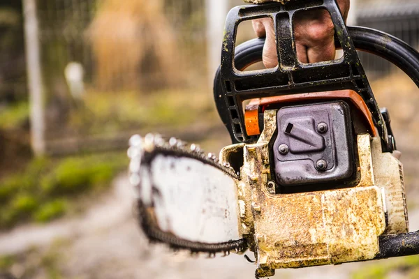 Man sawing a log in his back yard - Stock Image - Everypixel