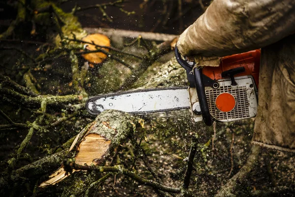 Man sawing a log in his back yard - Stock Image - Everypixel