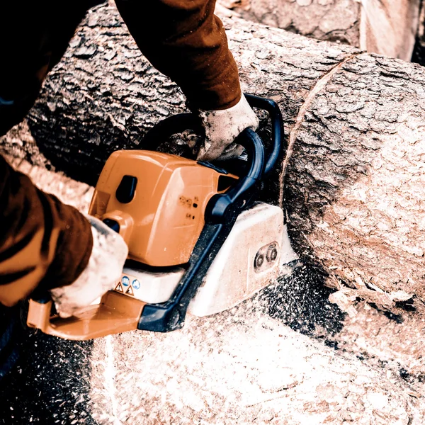 Man sawing a log in his back yard - Stock Image - Everypixel