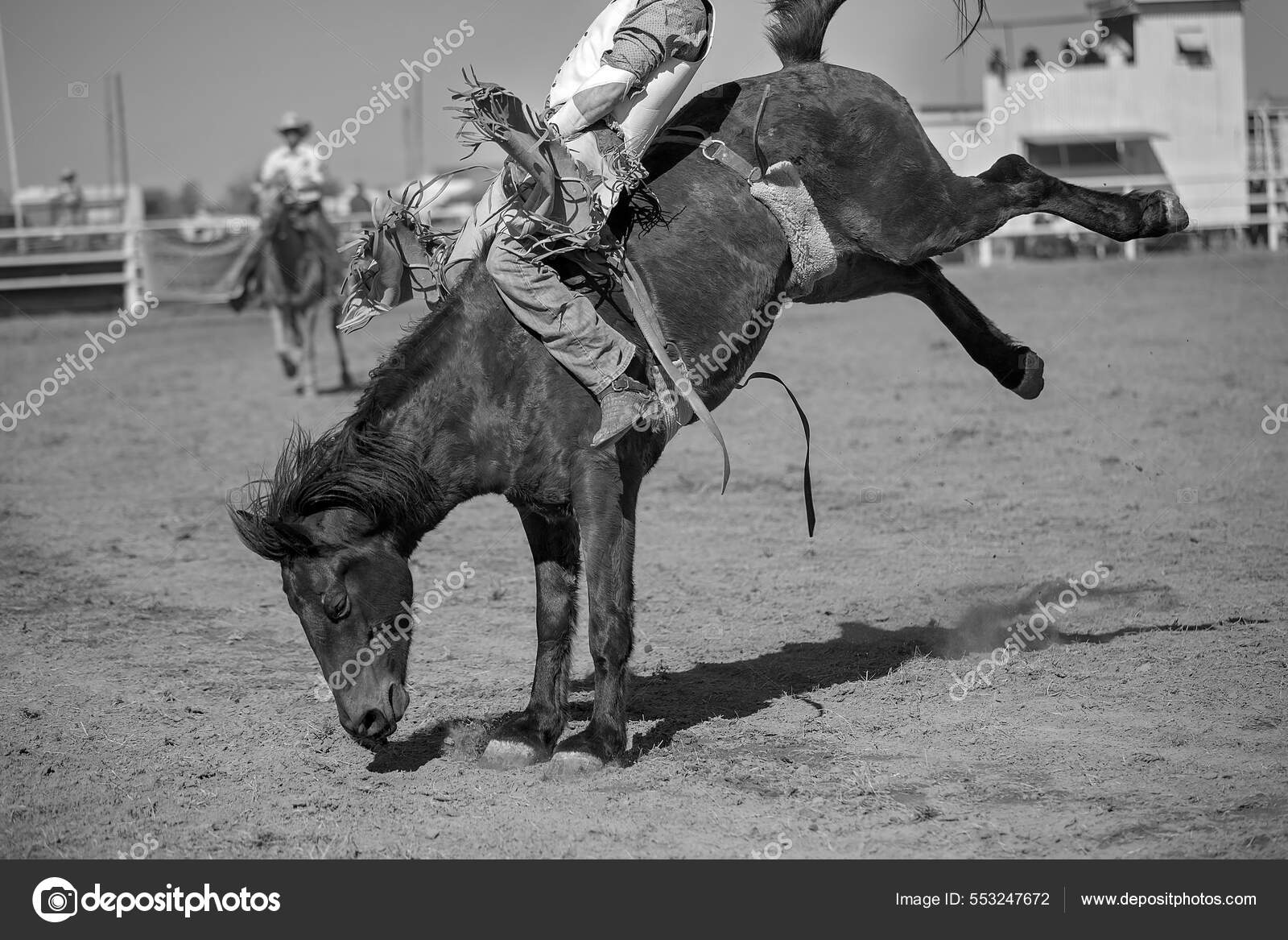 Cowboy Rides Bucking Horse Bareback Bronc Event Country Rodeo — Stock ...