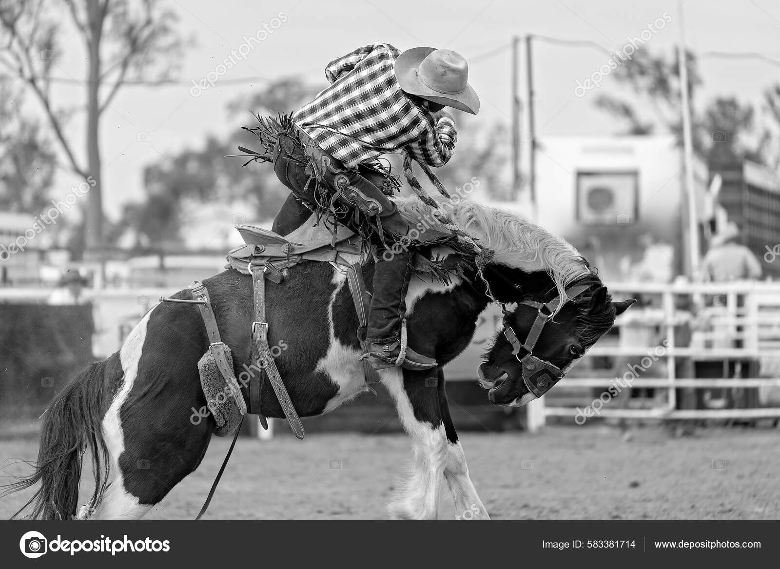 Cowboy Riding Bucking Bronc Country Rodeo Australia — Stock Photo ...