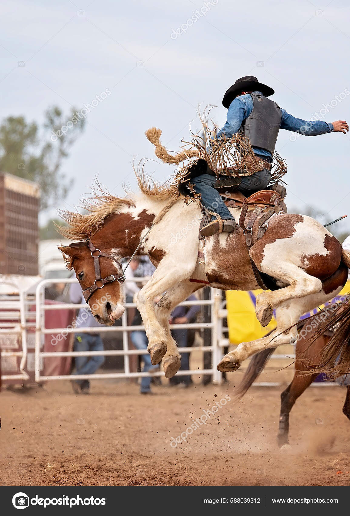 Cowboy Riding Bucking Bronc Country Rodeo Australia — Stock Editorial ...
