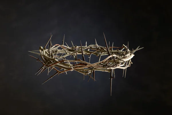 Thorn crown Stock Photos, Royalty Free Thorn crown Images | Depositphotos