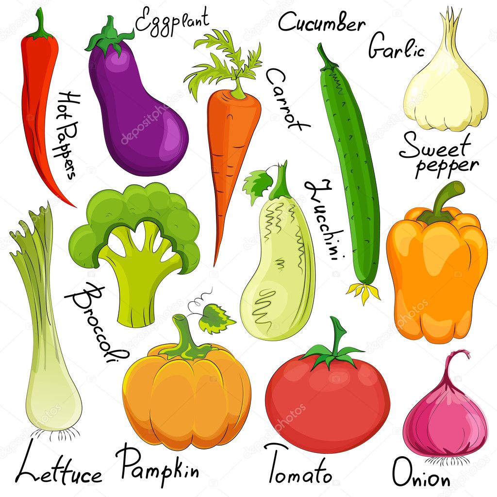 Divertida caricatura vegetal aislado vector, gráfico vectorial © teirin ...