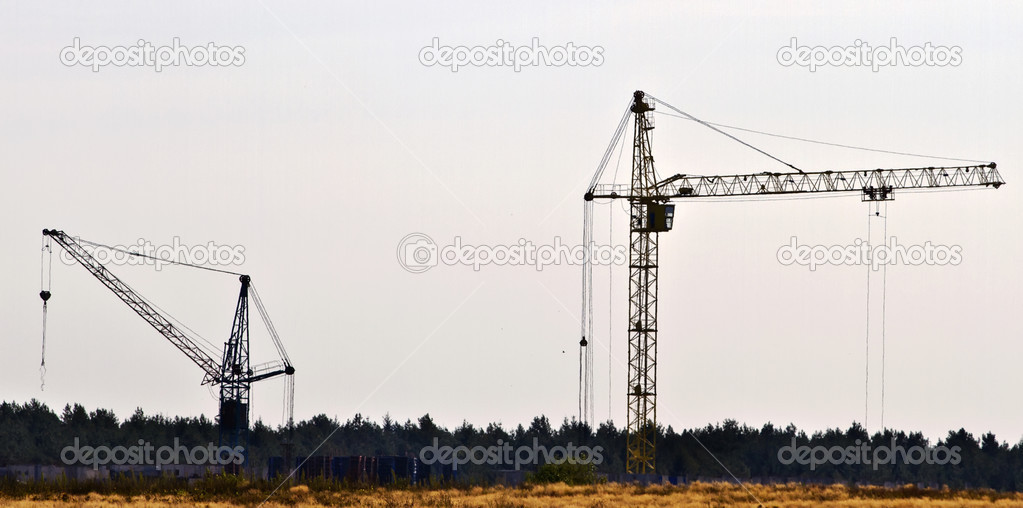 Two cranes Stock Photo by ©lilu1331 13567668