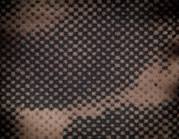 Point texture Stock Photo by ©MarcoGovel 18550035