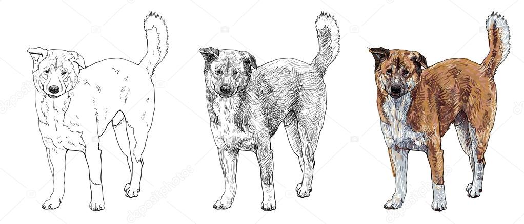 Stray dog Stock Vector Image by ©hadkhanong1979 #26314291