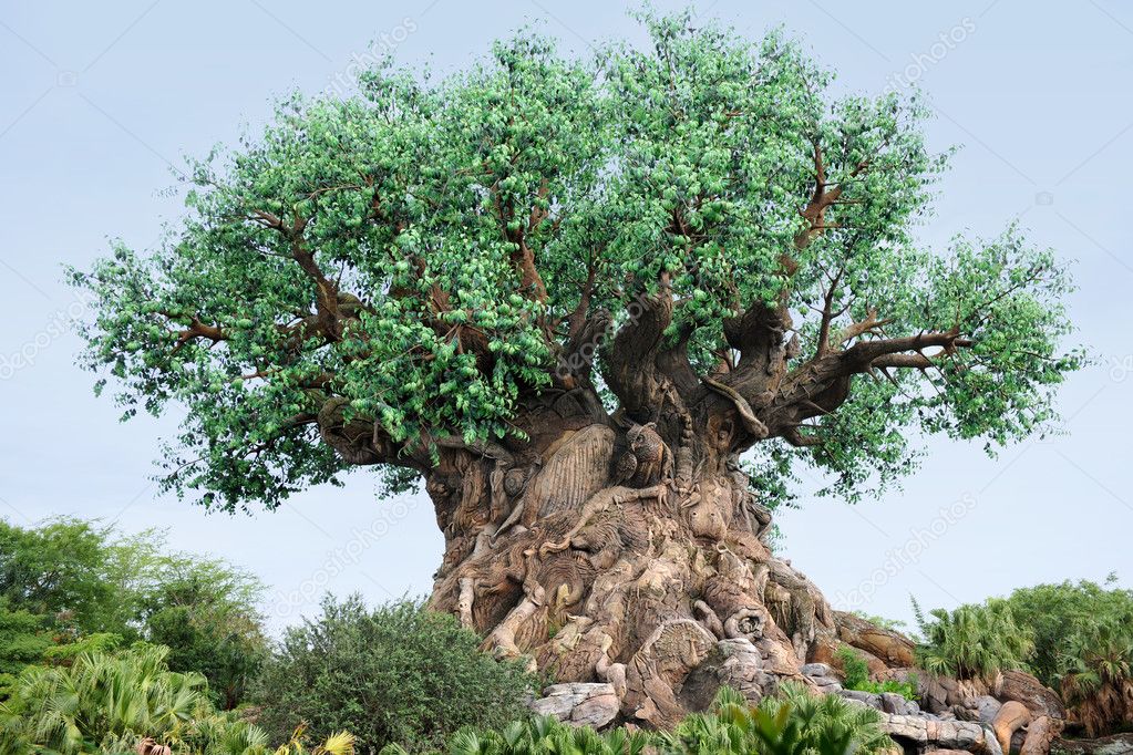 Tree Of Life Disney Drawing