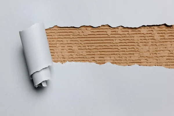 Torn Paper background Stock Photo by ©ginosphotos1 13962045