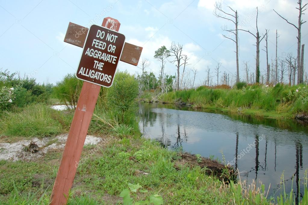 Warning Sign in Florida — Stock Photo © ginosphotos1 #16640005