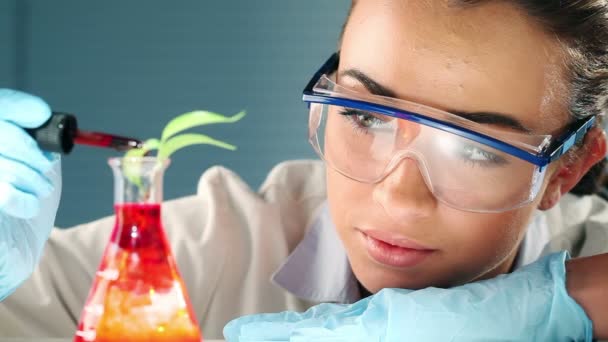 26 Pretty student study chemistry Videos, Royalty-free Stock Pretty ...