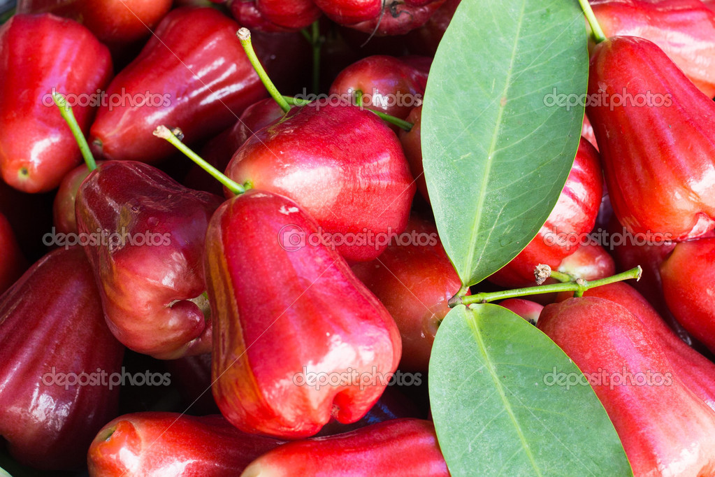 Red rose apple ⬇ Stock Photo, Image by © chayathon #34815677