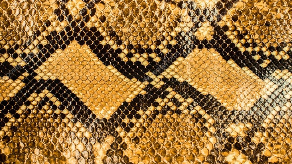 Snakeskin Background Clipart
