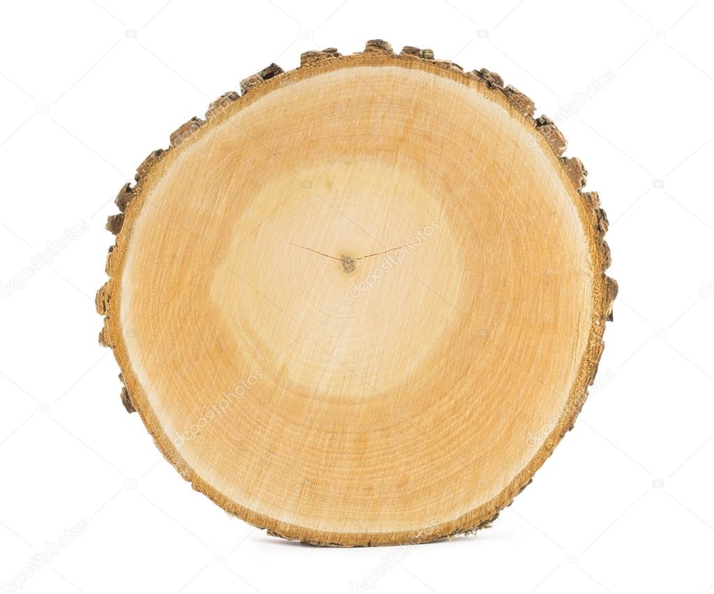 Close-up wooden cut texture — Stock Photo © dmitriykp #20083685 Close-up wooden cut texture — Stock Photo © dmitriykp #20083685