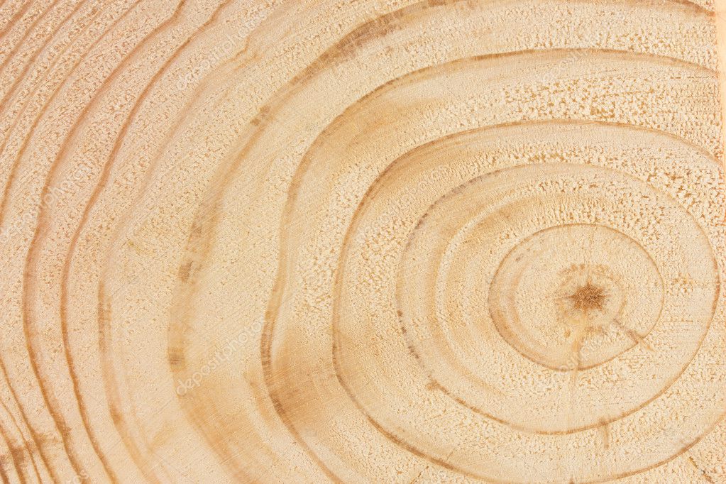 Close-up wooden cut texture Stock Photo by ©dmitriykp 21283539