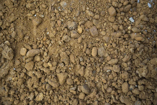 Fotos de Solo arenoso, Imagens de Solo arenoso sem royalties ...