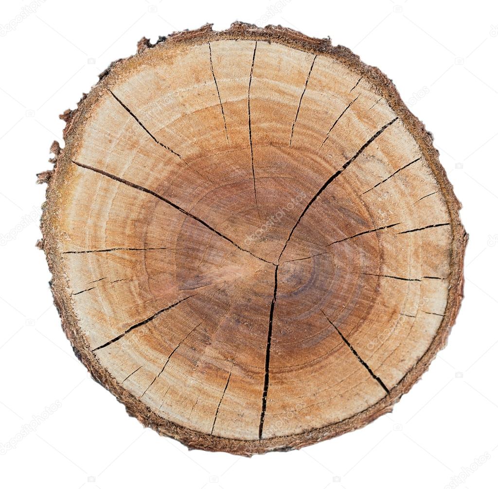 Wood texture ring Stock Photo by ©dmitriykp 29724765