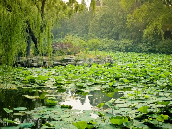 Beautiful pond scenery Stock Photos, Royalty Free Beautiful pond ...