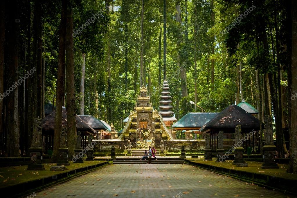 Monkey forest in Bali (Sangeh) — Stock Photo © t_n_06 #15452019
