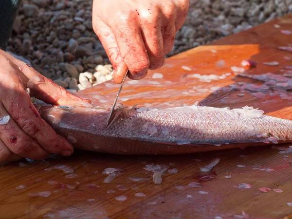 Cleaning fish Stock Photos, Royalty Free Cleaning fish Images ...