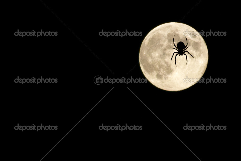 Spider over moon — Stock Photo © ReminisceLTD #33177155