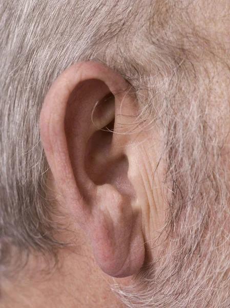 Old mans face side view — Stock Photo © kozzi2 #18822139