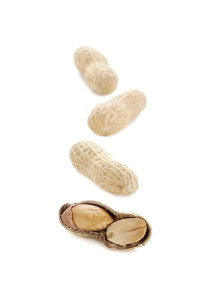 Ground nuts Stock Photos, Royalty Free Ground nuts Images | Depositphotos