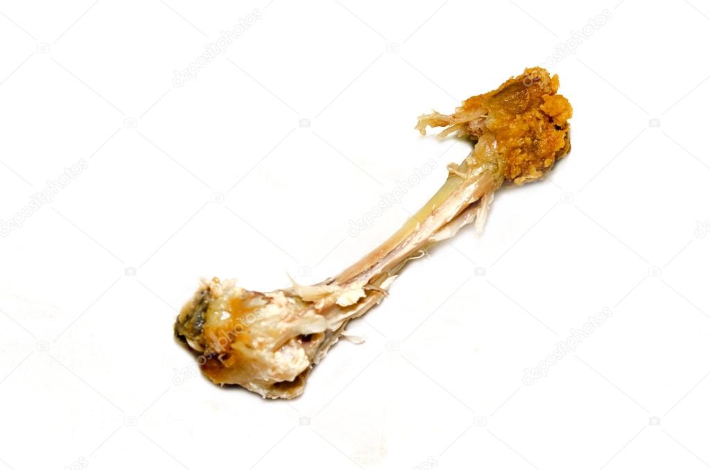 Hueso de pollo: fotografía de stock © aoo8449 #49136367 | Depositphotos