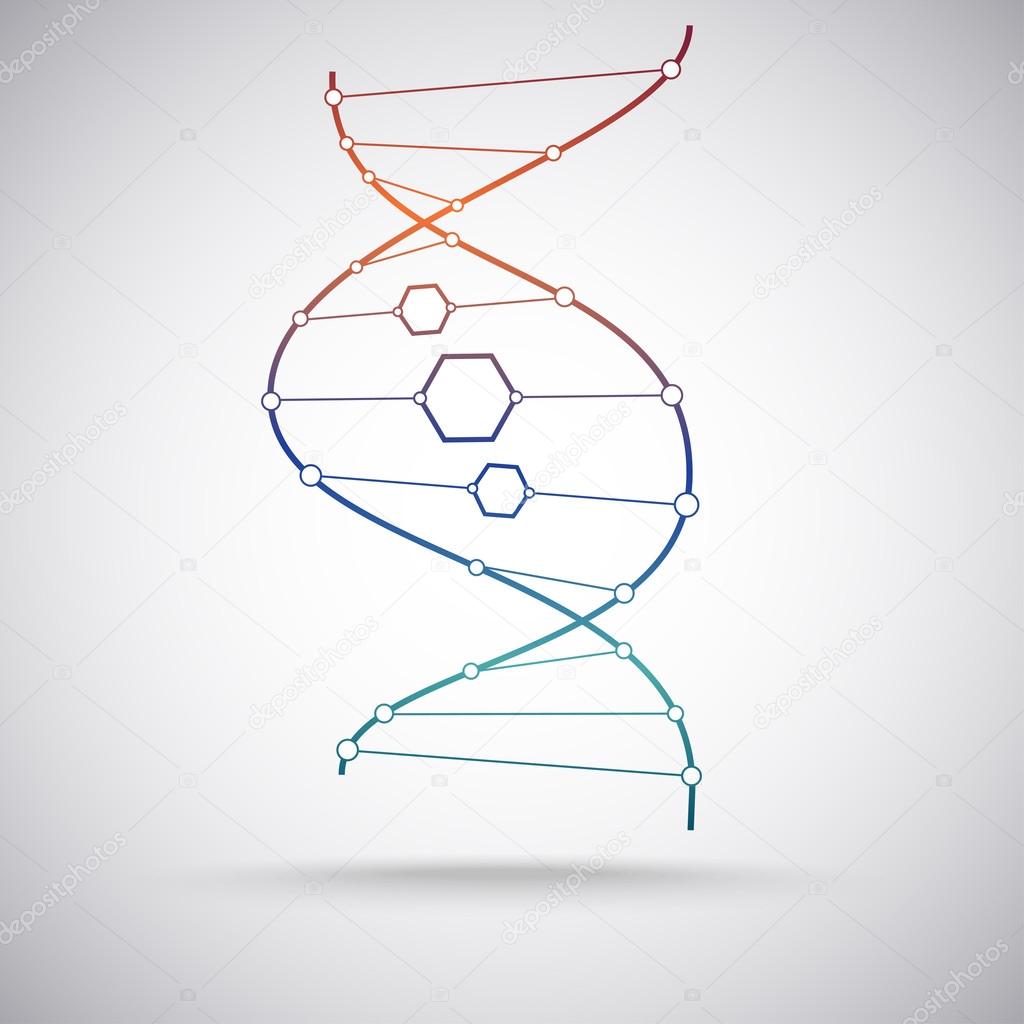 The DNA molecule. gradient Stock Vector Image by ©nick8889 #41993665