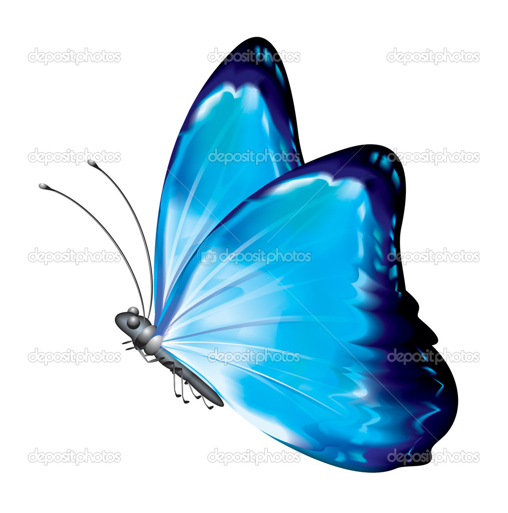 Mariposa de alas azules — Foto de stock © ladoblede #13200074