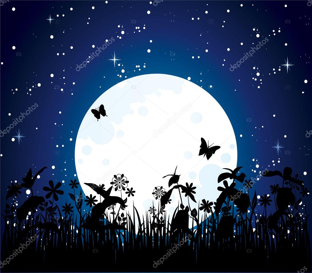 Moon night Stock Vector by ©SonneOn 13283228