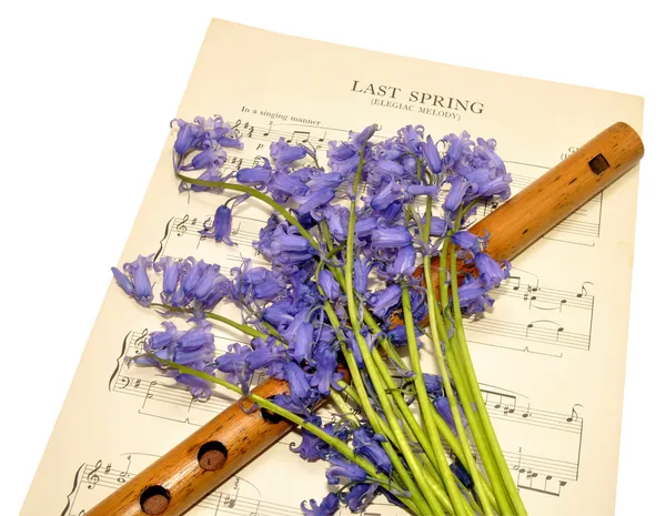 Music flowers Images - Search Images on Everypixel