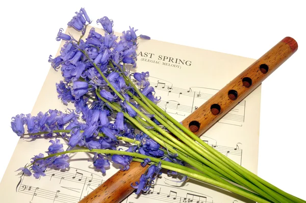 Spring Sheet Music And Bluebell Flowers - Stock Image - Everypixel