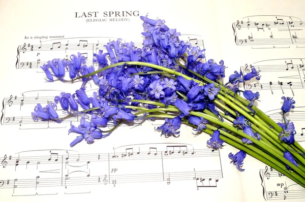 Music flowers Images - Search Images on Everypixel