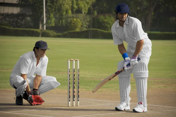 Cricket match - Stock Image - Everypixel