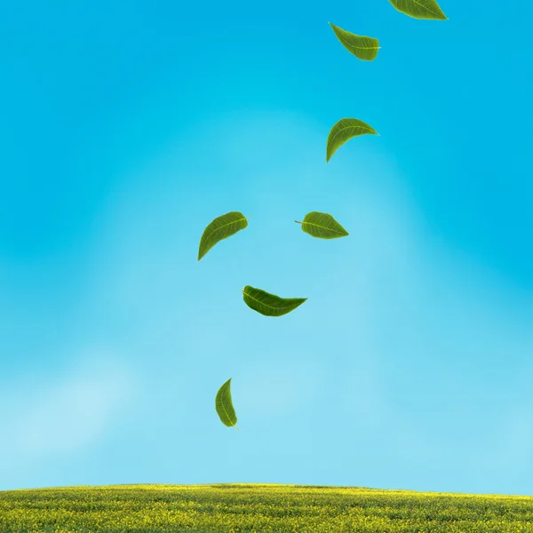 Leaves floating Stock Photos, Royalty Free Leaves floating Images | Depositphotos