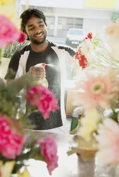 Florist at the flower shop - Stock Image - Everypixel