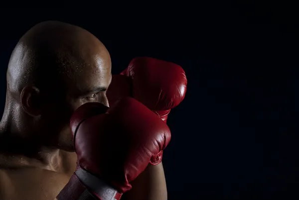 Boxer backlit Stock Photos, Royalty Free Boxer backlit Images ...